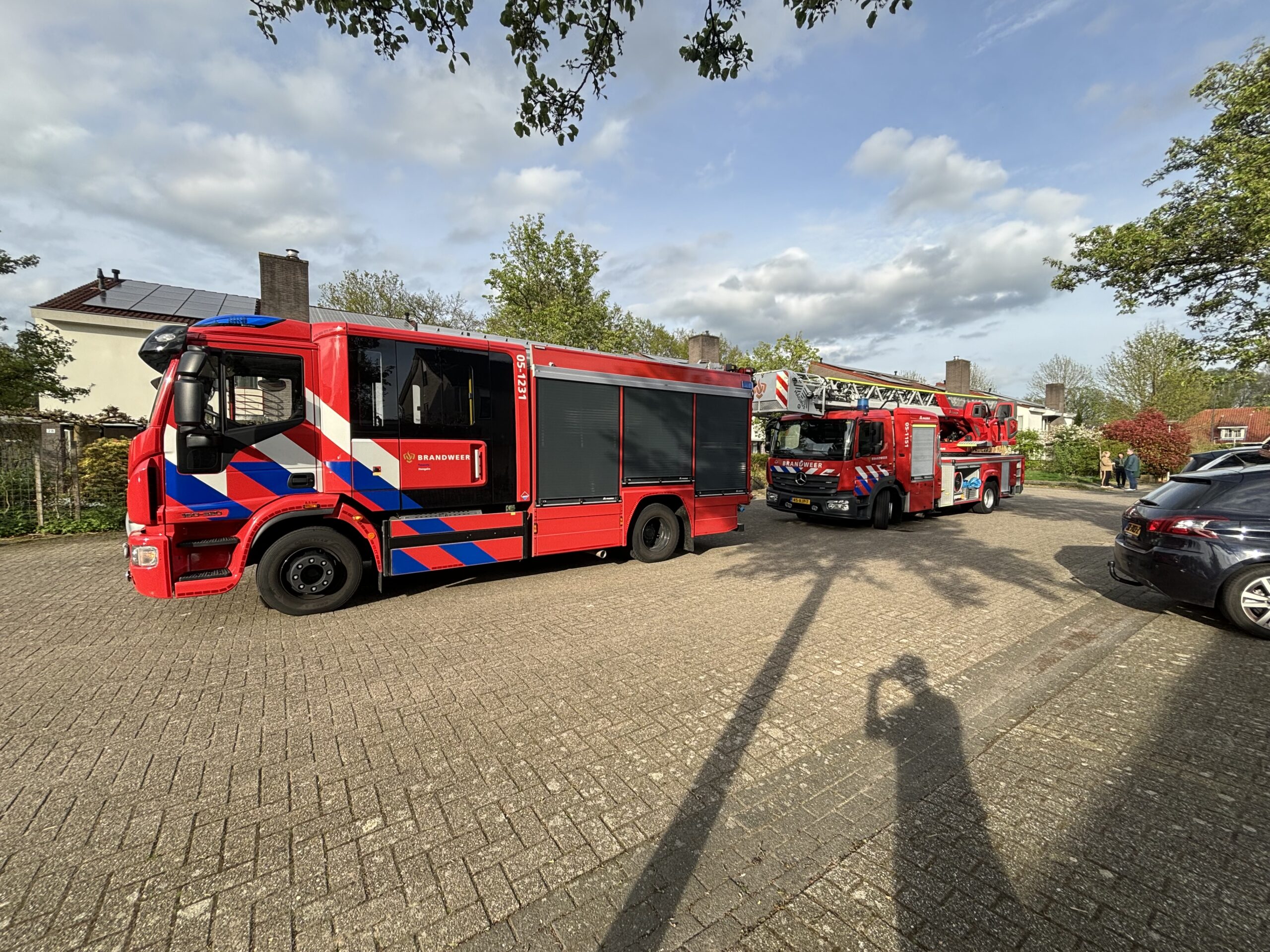 Brandweer schiet duif die vast zit in schoorsteen te hulp in Hengelo ...