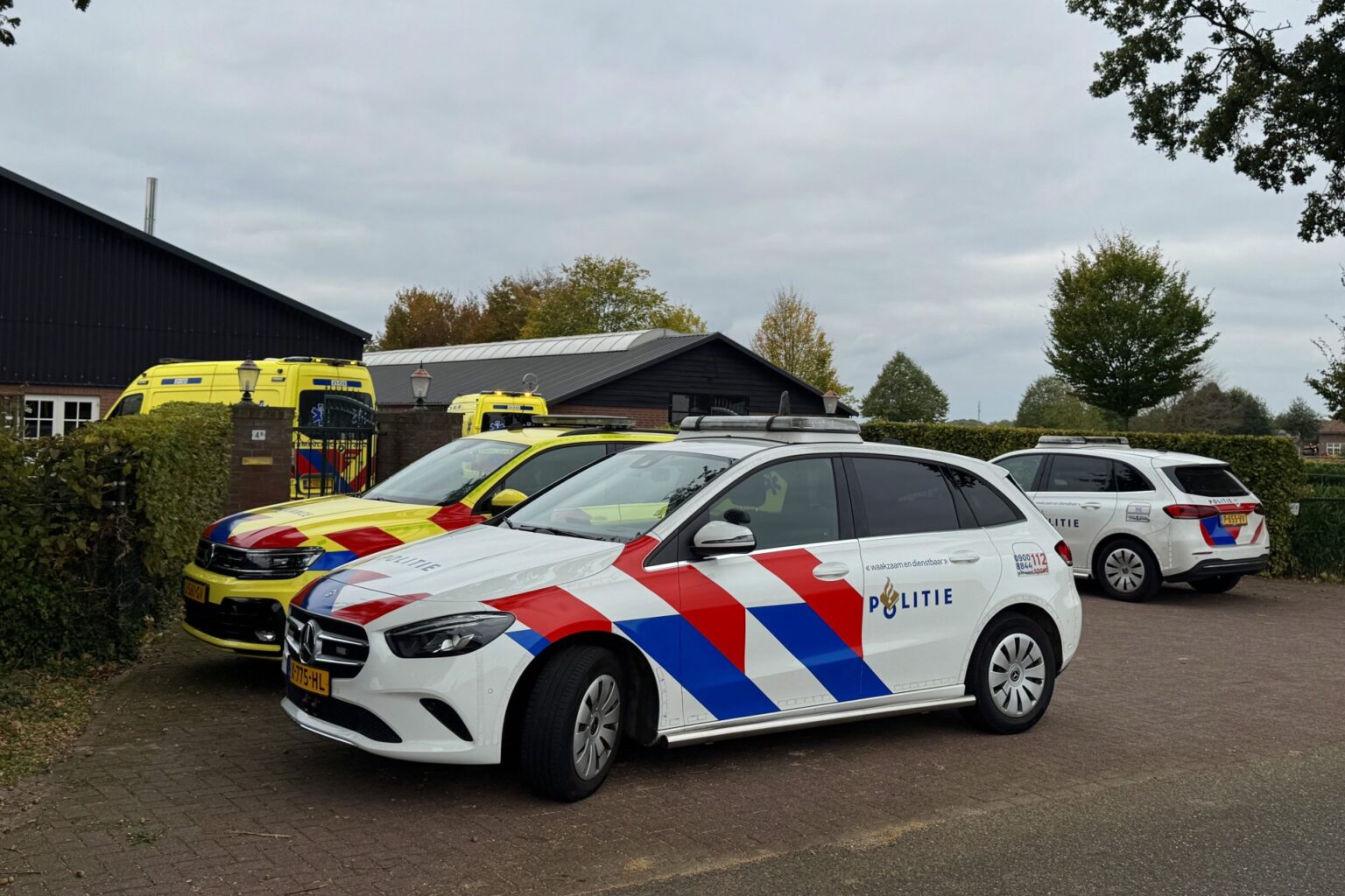Vrouw zwaargewond na val van paard, traumahelikopter geland | 112 ...