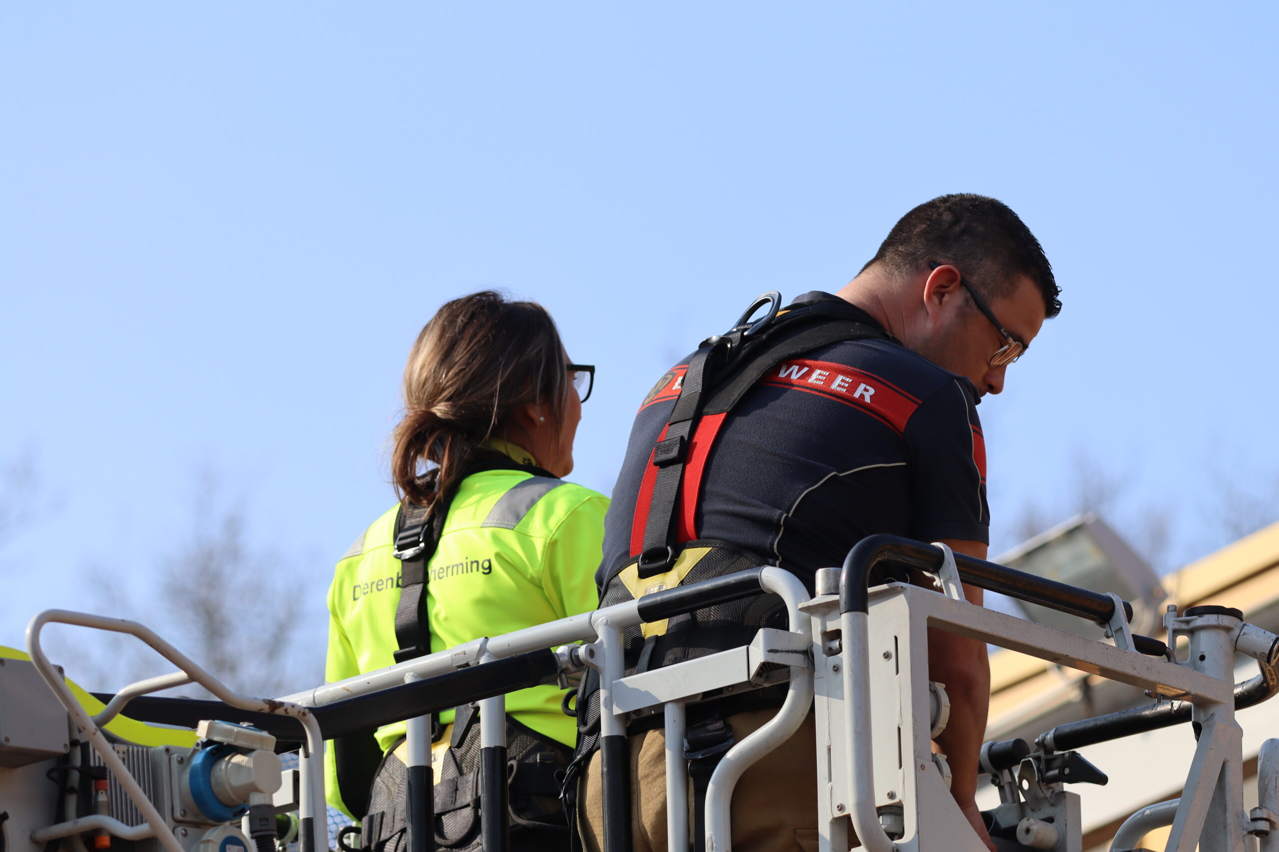 Brandweer rukt uit voor uil in nood die al twee dagen vast zit | 112 ...